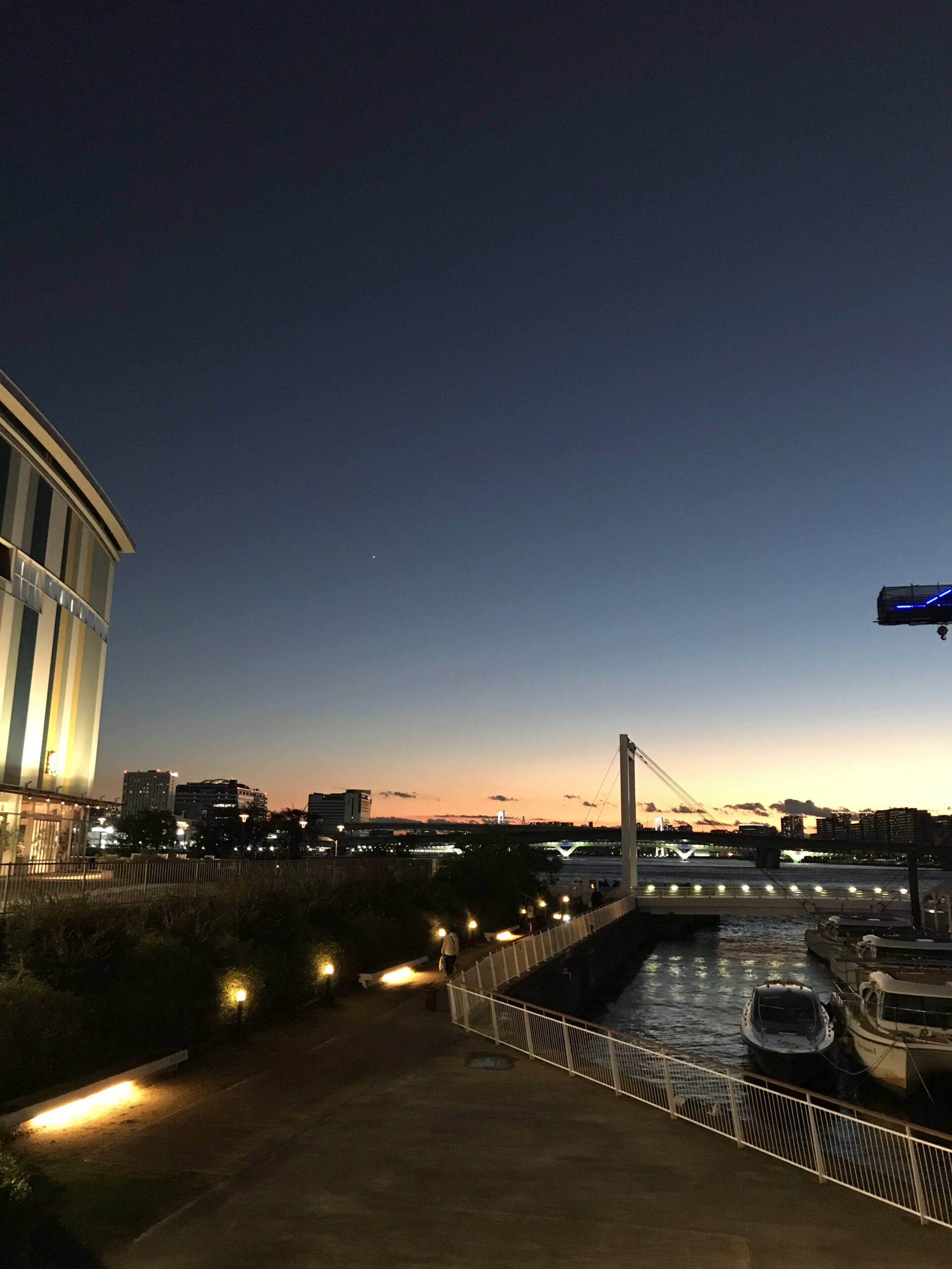 Ultimate Guide to Toyosu, Tokyo: Discover Morning Markets, Edo Vibes ...