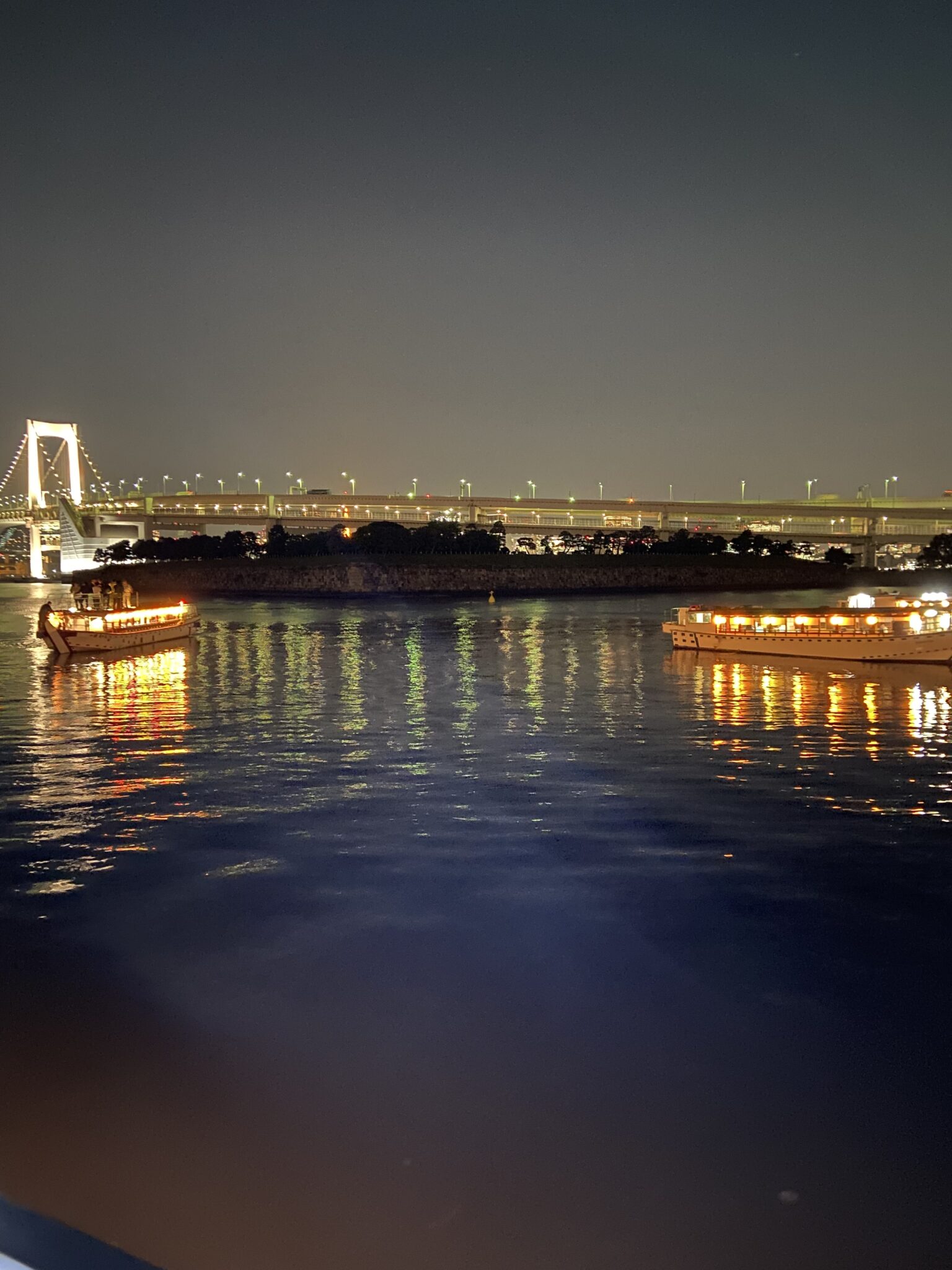 Rainbow Bridge Tokyo Guide: Best Views, Night Walks & How to Get There ...
