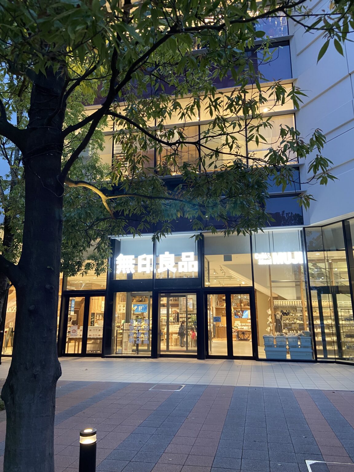 Ariake Tokyo Travel Guide: Things to Do in This Modern Bayfront ...